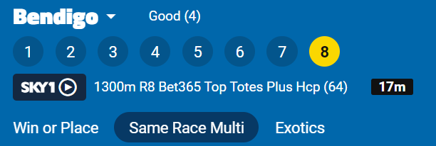 What Is A Same Race Multi? – Sportsbet Help Centre